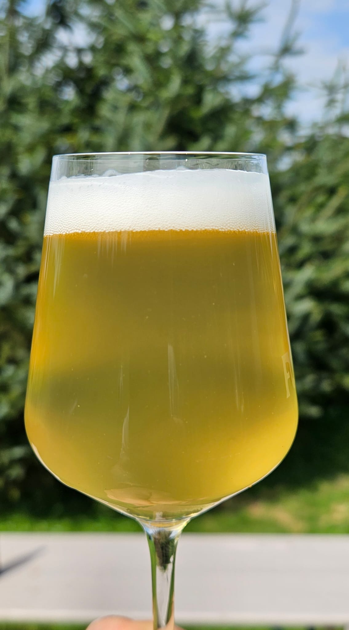 Piwa raw ale / no boil - Domowe warzenie piwa